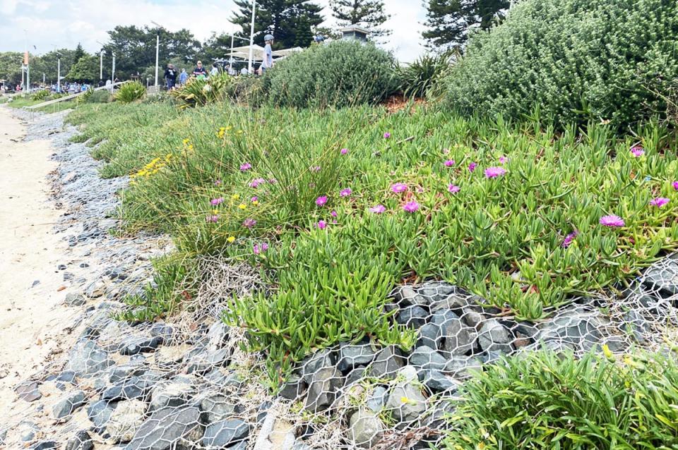 Landscape Excellence Awards Winners! | Growth Civil Landscapes