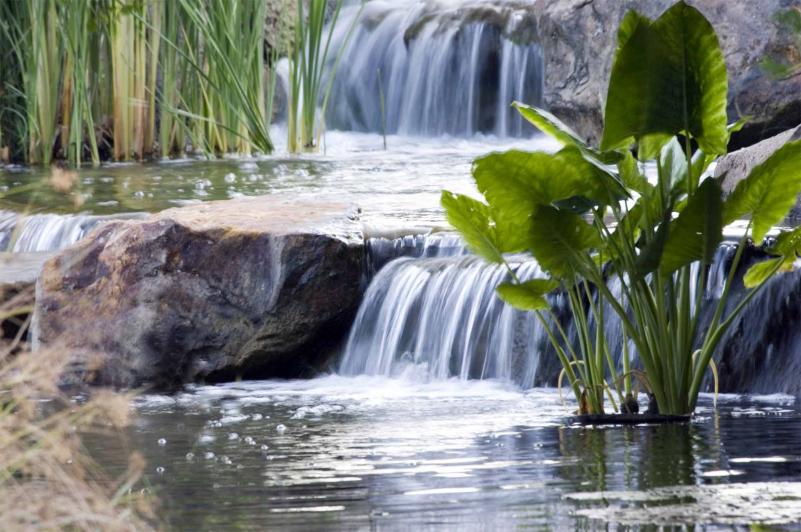 Water Features, Dams & Creeks | Growth Civil Landscapes