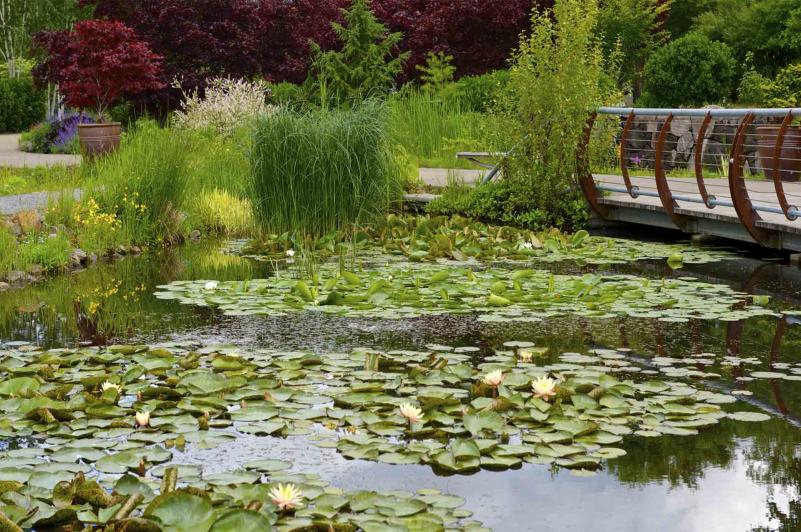 Water Features, Dams & Creeks | Growth Civil Landscapes