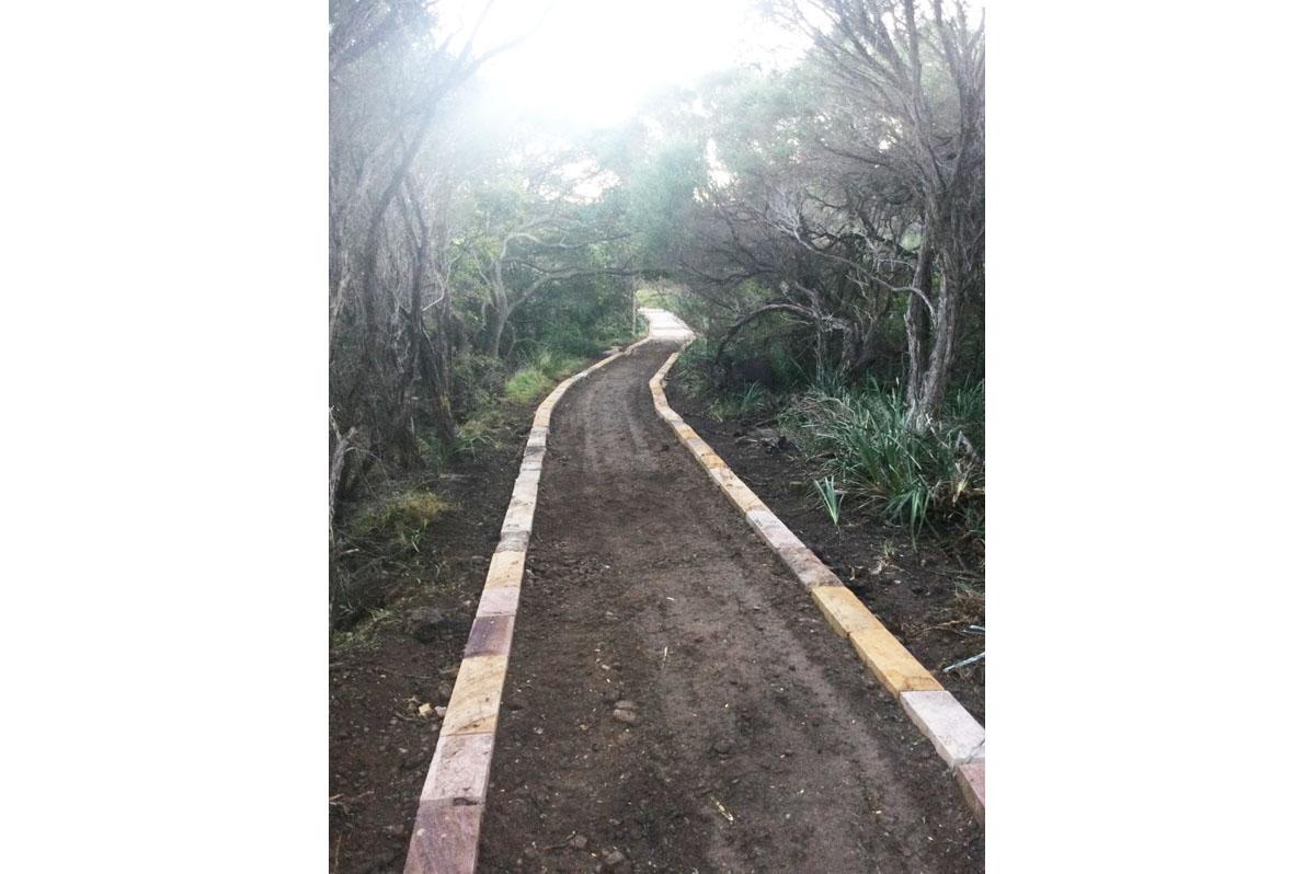 Historic Tram Pathway | Growth Civil Landscapes